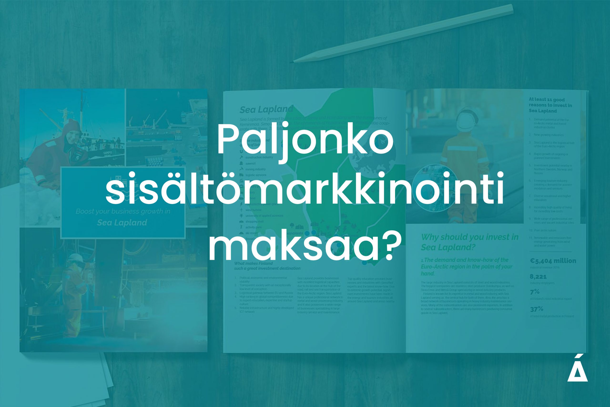 paljonko-sis-lt-markkinointi-maksaa-v-rri-oy